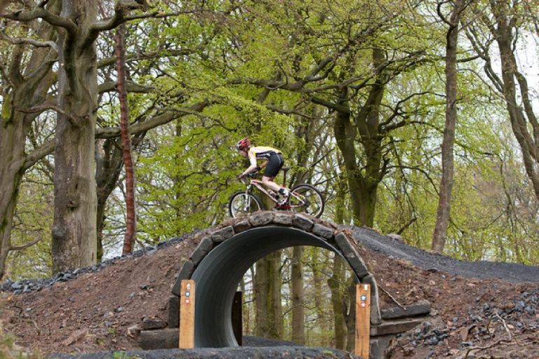 New bike trails coming to Cwmcarn Forest