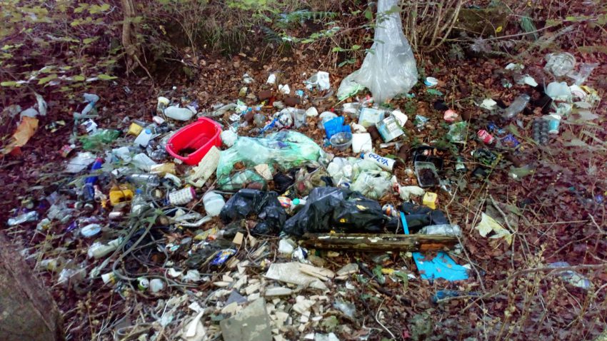 Volunteers collect almost 450 bags of litter