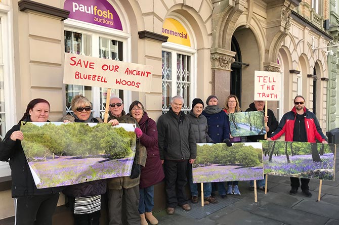 More time to save Llanbradach's Bluebell Woods after sale delayed