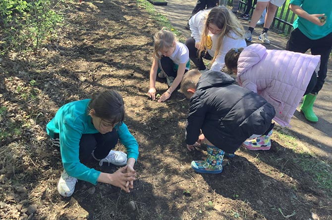 Ty'n y Wern school pupils creating bee corridor in Trethomas