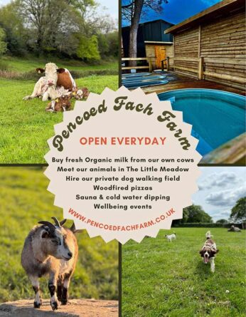 Pencoed Fach Farm: Blackwood’s hidden gem