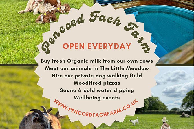 Pencoed Fach Farm: Blackwood’s hidden gem