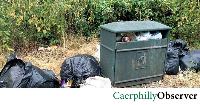 Calls for the council to do more to address fly-tipping in the borough