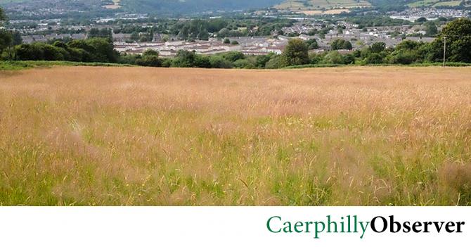 Consultation into Caerphilly Council's Local Development Plan
