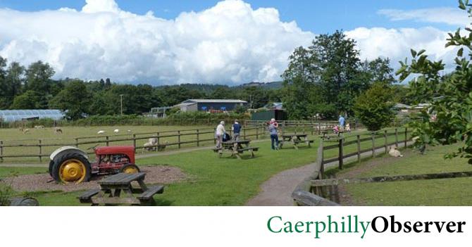 Cefn Mably Farm Park reconstruction work begins after Storm Dennis
